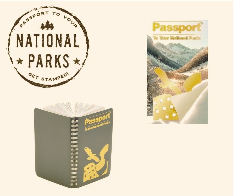 A Guide to National Park Passes: From Senior Lifetime to Military and More